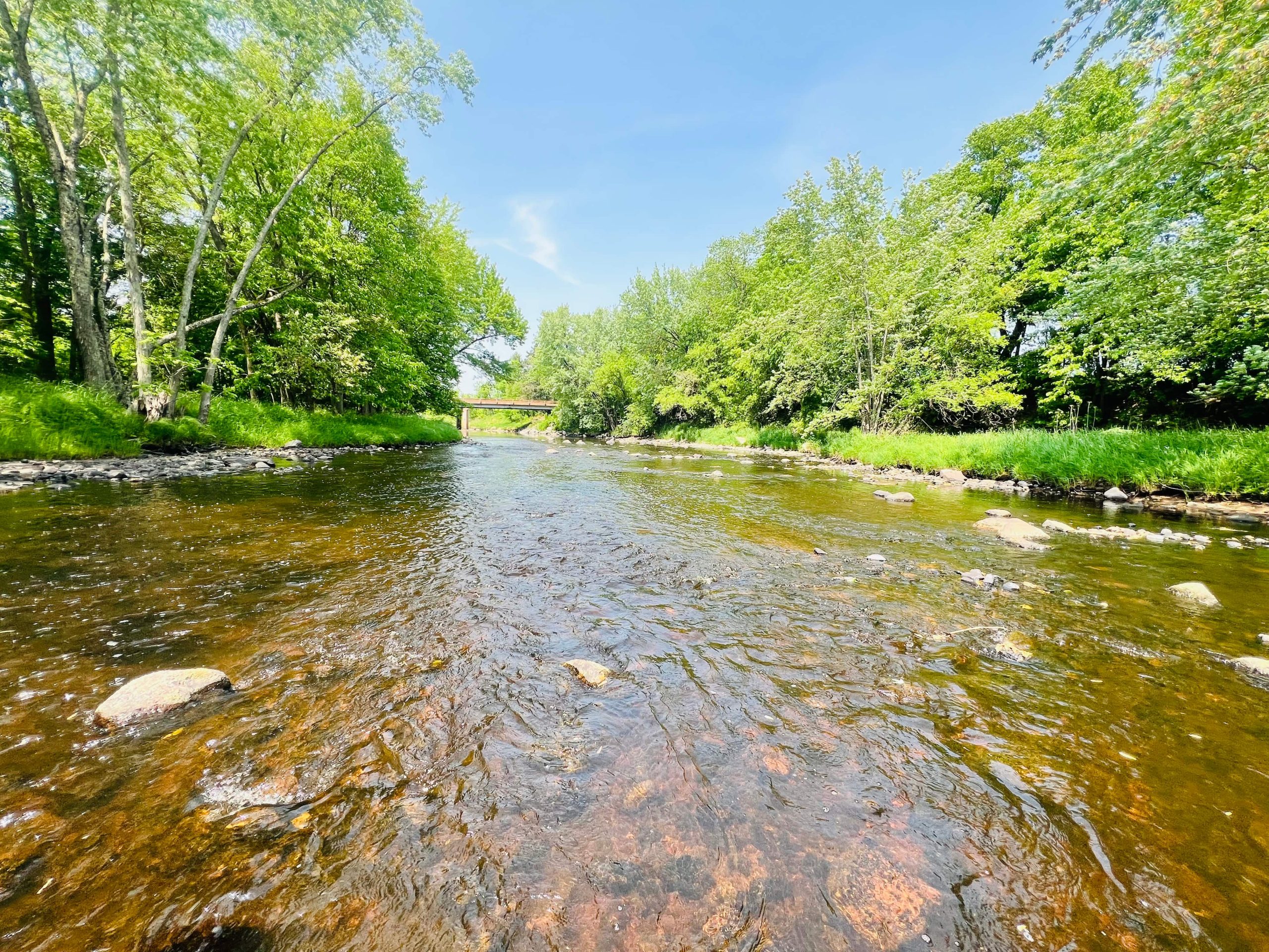 AQUATIC SERVICES - Merjent